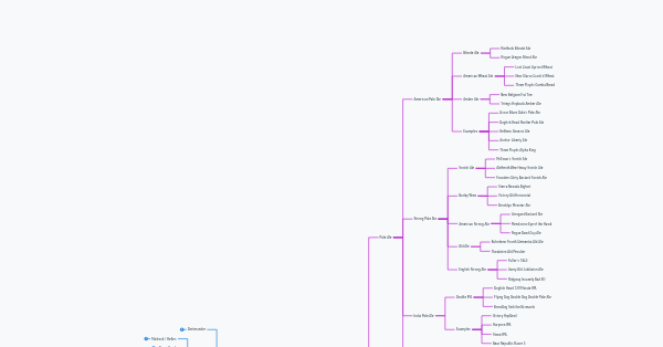 Types of Beer Mind Map